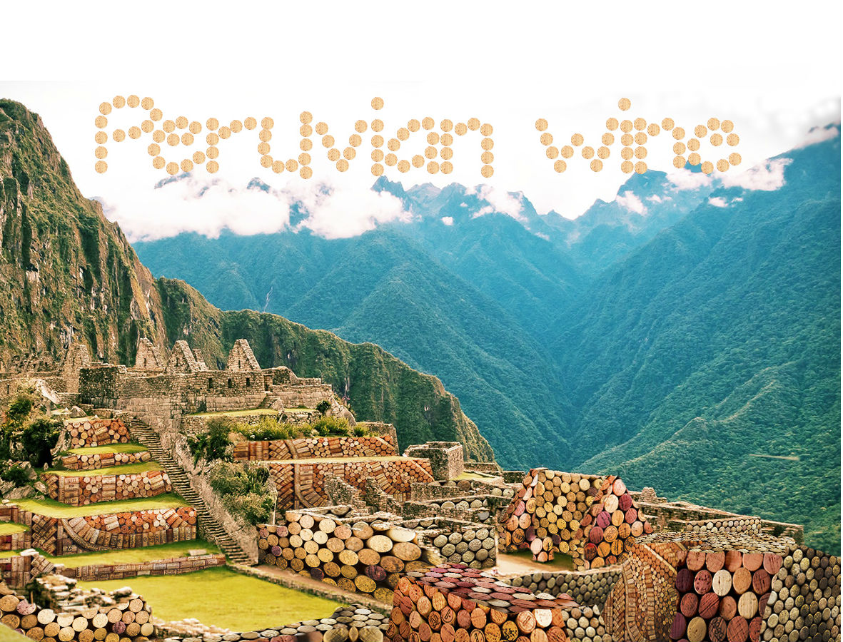South America wine guide: Argentina, Chile, Brazil, Uruguay, Bolivia, Peru
