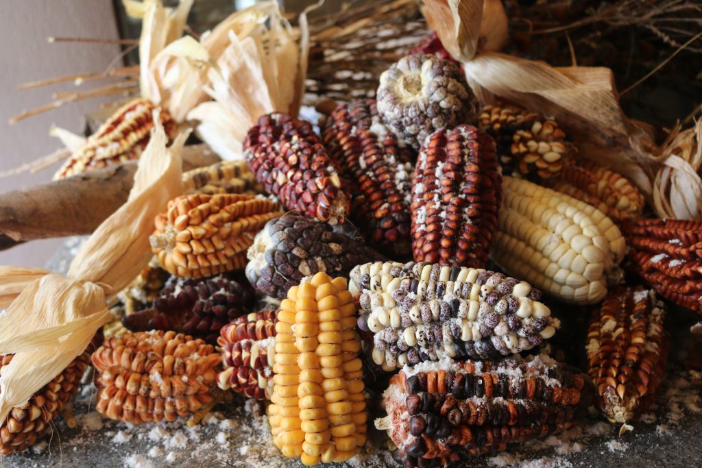Central corn ingredients - Around the World in 80 Harvests