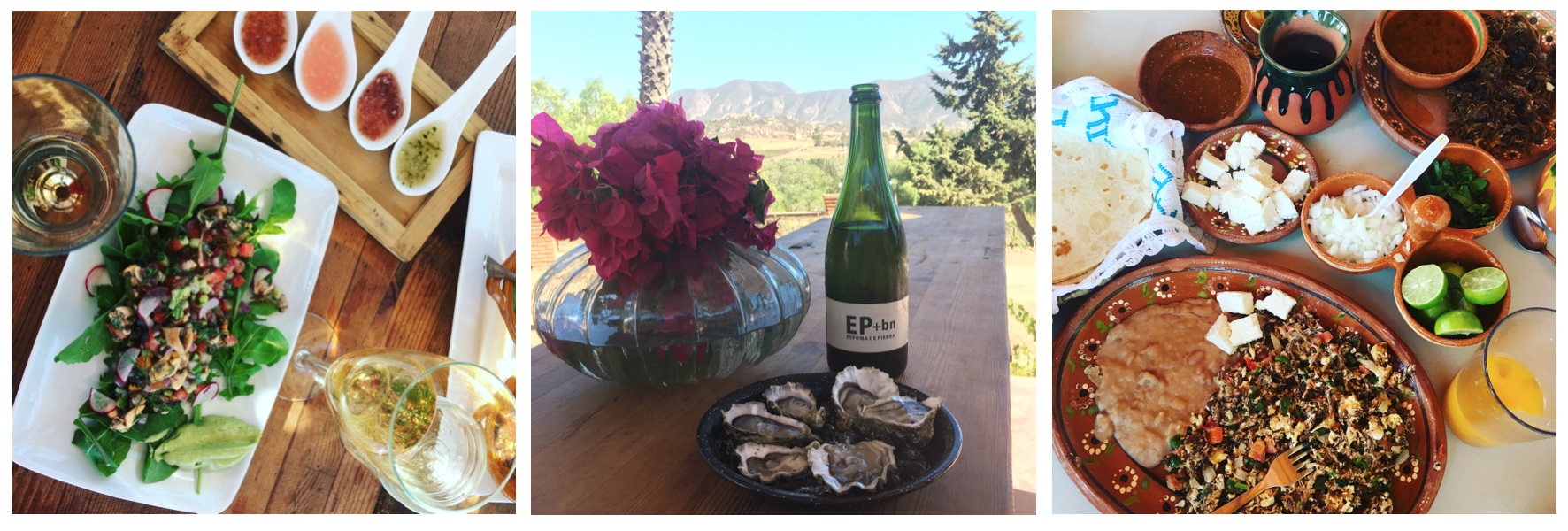 Wine in Mexico: History, wine region, wines & everything you need to know