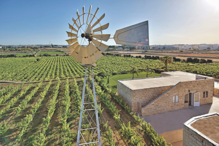 Heroic viticulture & wines from Malta & Gozo - 80 Harvests Maltese wine